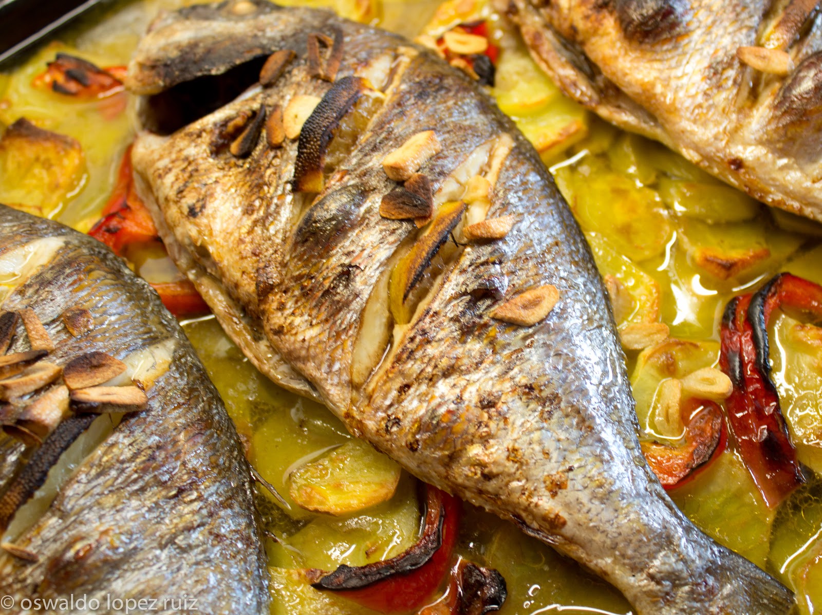 10 recetas muy fáciles con dorada. - Ocho Sabores Andalucía