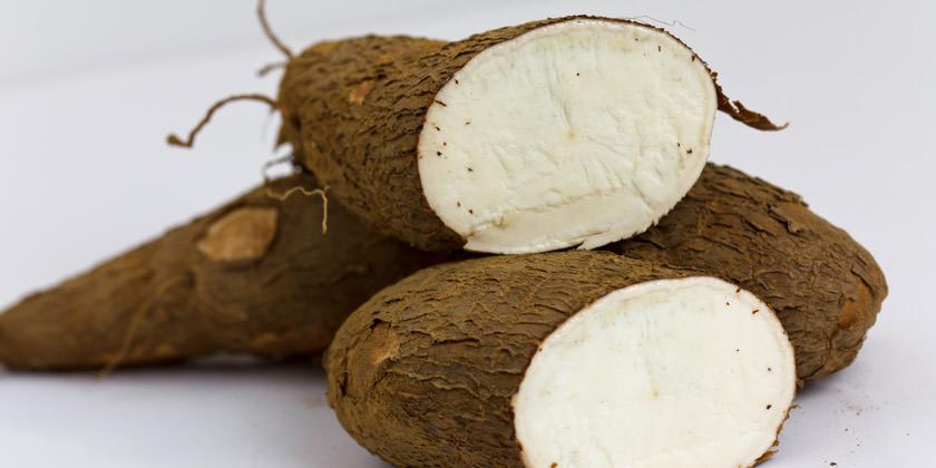 Cómo cocinar correctamente la yuca – Ocho Sabores Andalucía